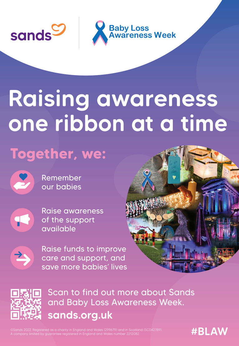 Ribbon Display Information Poster | Sands - Saving babies' lives ...